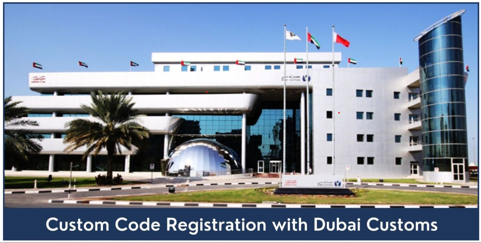 Custom Registration - Business House